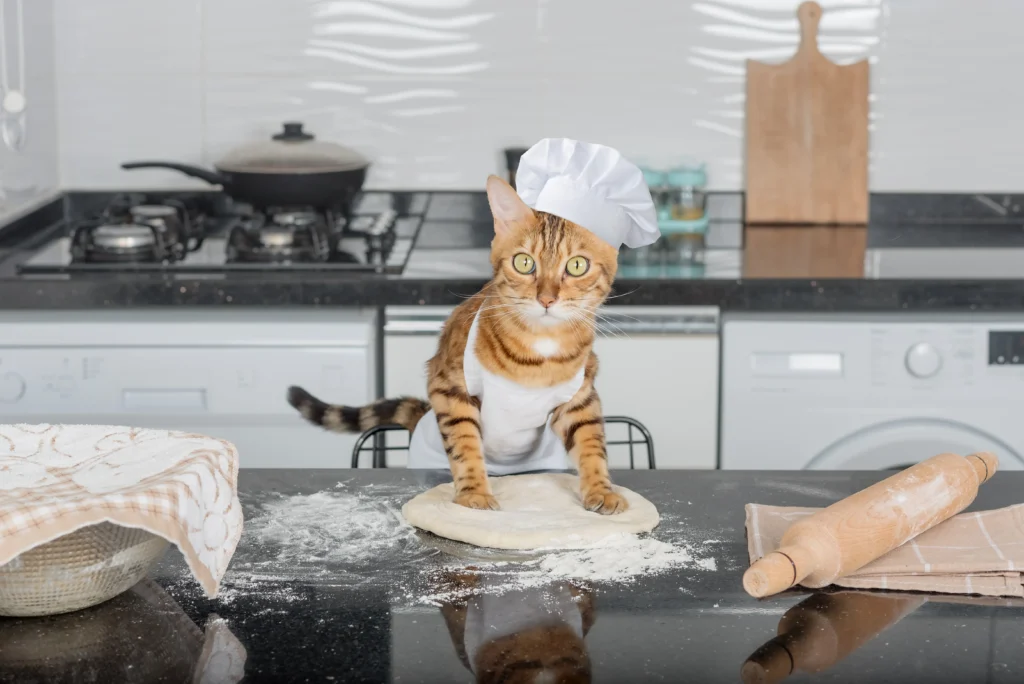 Why Do Cats Make Biscuits? 6 Weird but Adorable Facts - Petsmemes